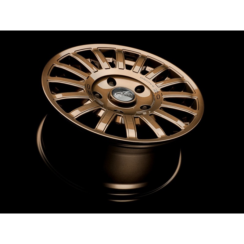 LLANTAS OZ RACING RALLY RAID 6x135 FORD