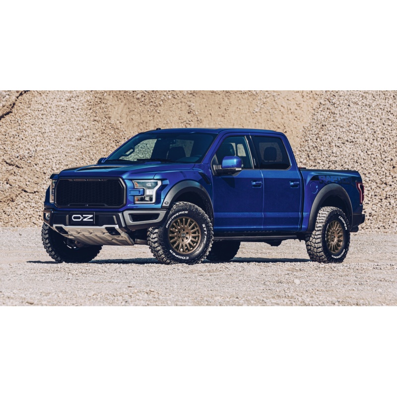 LLANTAS OZ RACING RALLY RAID 6x135 FORD